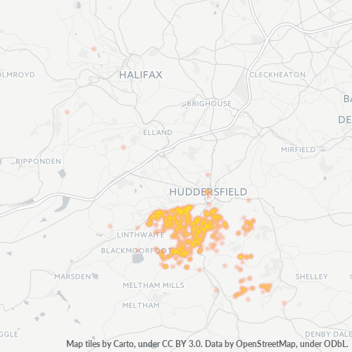 Nikisparrotrescue | 07445 299744 | Huddersfield