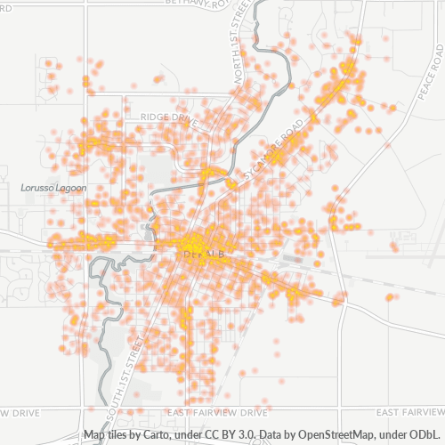 Tangles the Second | (815) 758-1133 | DeKalb, Illinois