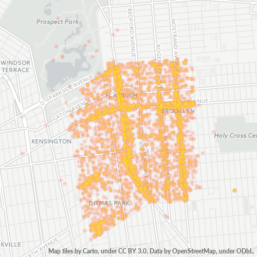 Brooklyn Premier Orthopedics | (718) 759-6100 | Brooklyn